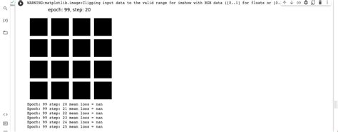 Epoch Issue Warningmatplotlibimageclipping Input Data To The Valid