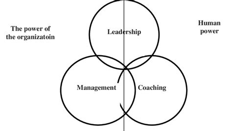 Efficiency Coaching In Management And Leadership In M Downey