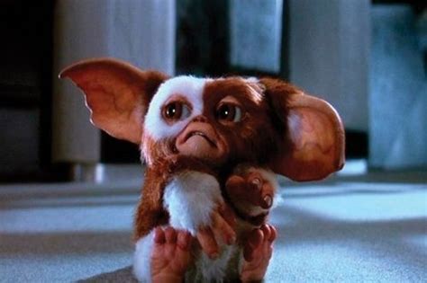Gizmo Scared Gremlins