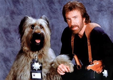 Os 10 Melhores Filmes De Chuck Norris
