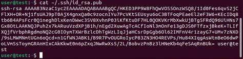 How To Generate Ssh Keys In Ubuntu Ionos Uk