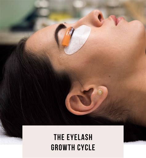 The Eyelash Growth Cycle — Lash Growth — Gameela Skin