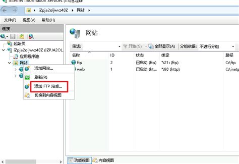 Windows Server2019配置ftp服务器教程 阿里云开发者社区