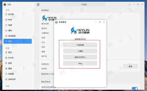 全方位了解：在麒麟kylinos上检查系统激活状态的方法银河麒麟服务器操作系统v10 查看试用时间如何查看麒麟操作系统v10是不是正版