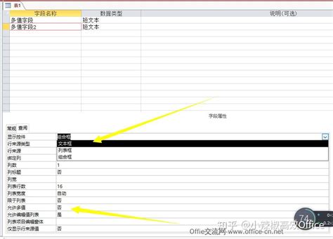 Access数据库多值字段的使用教程及深度原理解析，看这一篇就够了 知乎