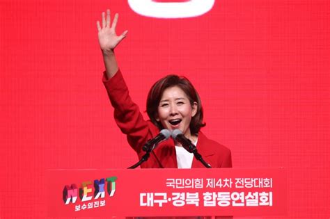 나경원 한동훈 대권 야욕 위해 사당화하는 이재명 따라하기 파이낸셜뉴스