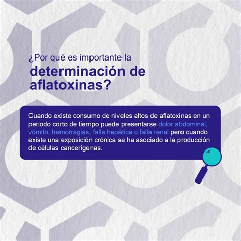 Chaso Del Valle Sa En Linkedin Descubre La Importancia De Detectar