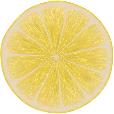 Lemon Slice Stock Illustrations 77 716 Lemon Slice Stock Illustrations Vectors And Clipart