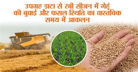 Isro Conducts Real Assessment Of Wheat Sowing And Crop Status For Rabi
