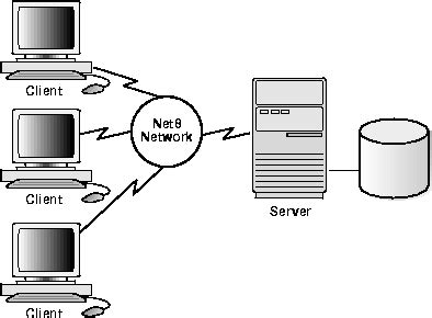 Introducing Net8