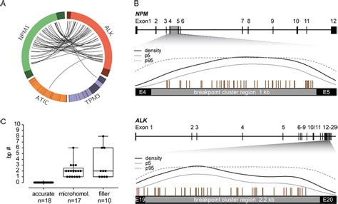 Breakpoint Distribution In Alk And The Respective Fusion Partner Gene Download Scientific