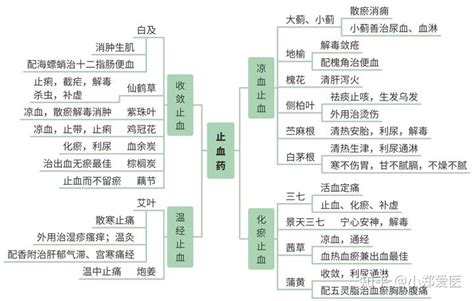 执业药师中药二思维导图看着最全最完整 知乎