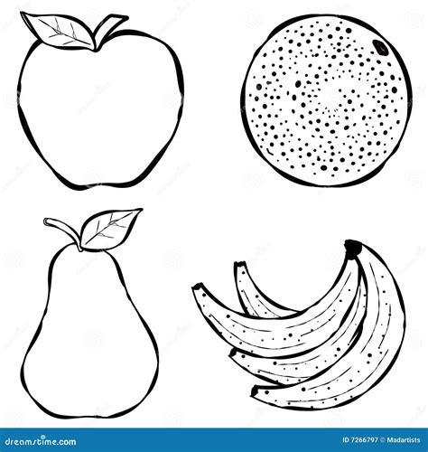 Various Fruit Line Art Royalty Free Stock Photography Image 7266797