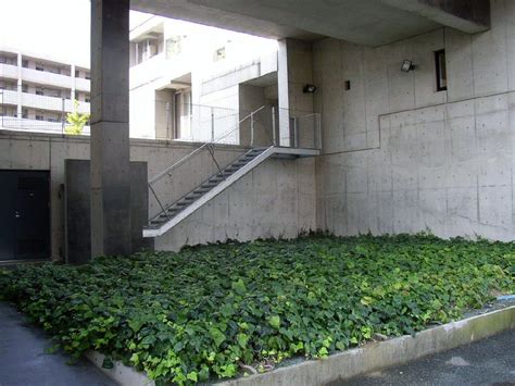 Void Space Hinged Space Housing Viviendas En Fukuoka 1989 1991