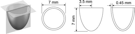 Cell Press Star Protocols