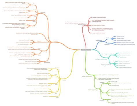 Dna Recombination Coggle Diagram