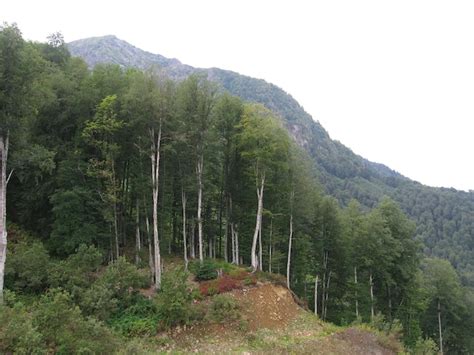 Uma paisagem montanhosa panorâmica vales e picos de montanhas