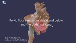 Open 3D Model AnatomyTOOL