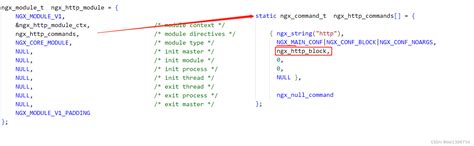 Nginx框架 配置文件ngxconfhandler函数 Csdn博客