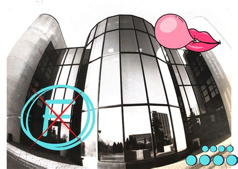 Common Assumptions About Universities The Gauntlet