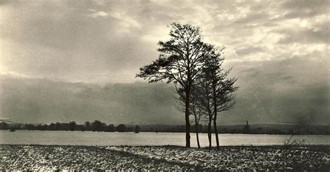 Polabská Krajina Josef Sudek 1896 1976 1 Art Consulting
