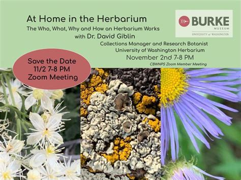 At Home In The Herbarium The Who What Why And How An Herbarium Works