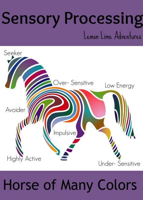 What Is Sensory Processing