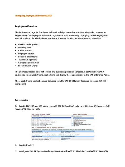 Sap Netweaver Portal Ess Mss Configuration Pdf Information Technology Management Computing