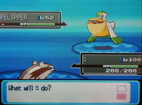 4 Third Pelipper On My Sealeo Hunt I Do Love Shiny Pelipper But