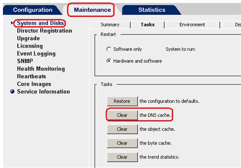 Howto Clear DNS Cache In Bluecoat Proxy Server Debian Admin