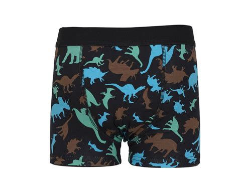 Dryandcool Inkontinenz Slip Jungen 098104 Boxer Dino