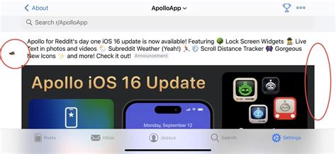 Rotation Issue With Pixel Pal Doesnt Seem To Necessarily Follow Where The Dynamic Island Is