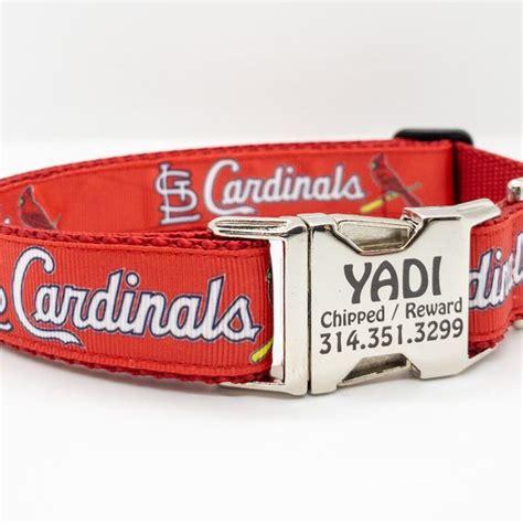 Cardinal Nation Etsy