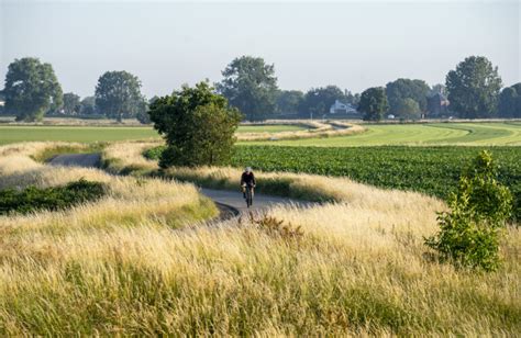 Stand Van Zaken En Vervolg Meanderende Maas