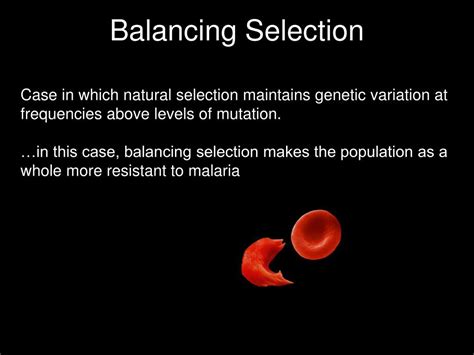 What Is Balancing Selection At Madison Calder Blog