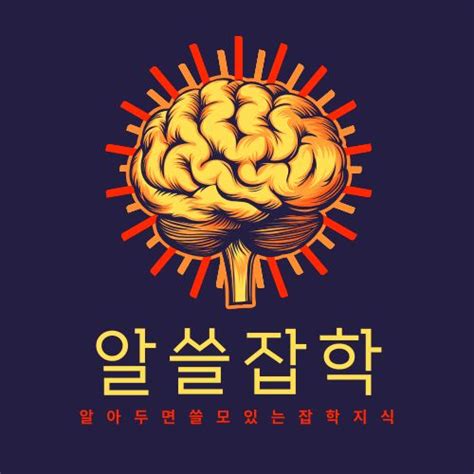 비행기 창문의 형태와 안전 원형 설계가 지배하는 항공 역학의 세계