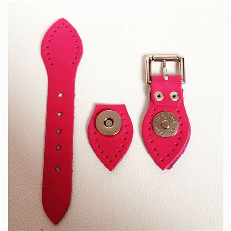 Magnetic Buckle