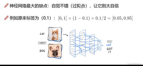 Yolo系列v1 V5 原理代码解读项目实践】yolo中的准确率 代码 Csdn博客