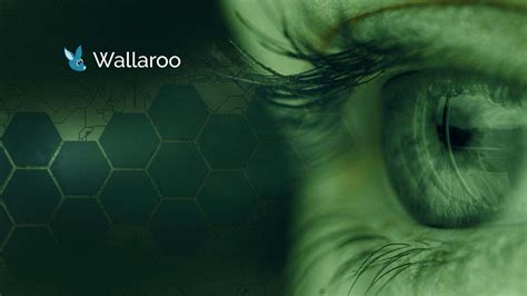 Wallaroo Labs Launches In Azure Marketplace Announces Air Gap Support