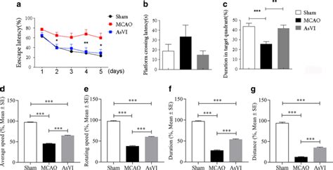 Astragaloside Vi Restores Learning Ability Spatial Memory And Motor