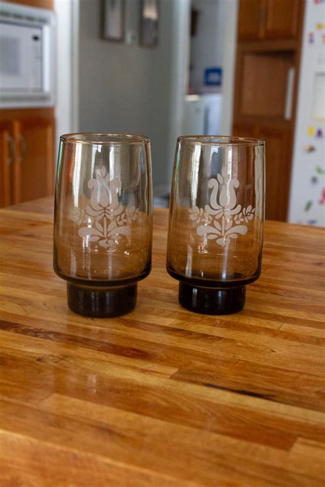 Vintage Smoke Color Drinking Glasses Set Of 2 Libbey Pfaltzgraff