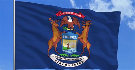 Michigan Gun Laws