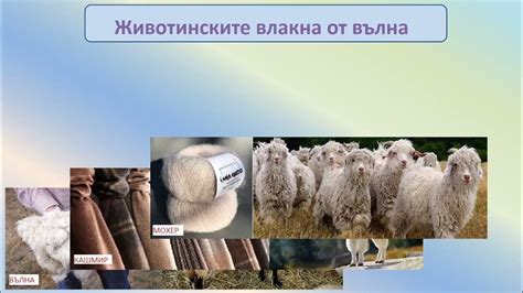 Влакна - YouTube