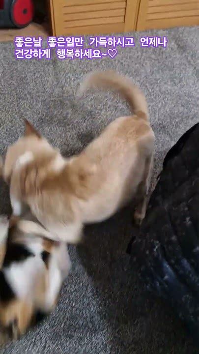 좋은날 좋은일만 가득하세요~♡ Youtube