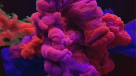 Soca No Meu Cu Search