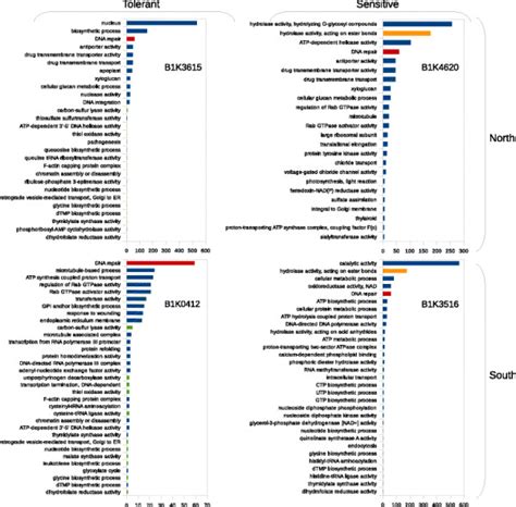 Functional Annotation Analysis Of Overall Gene Expression Distribution