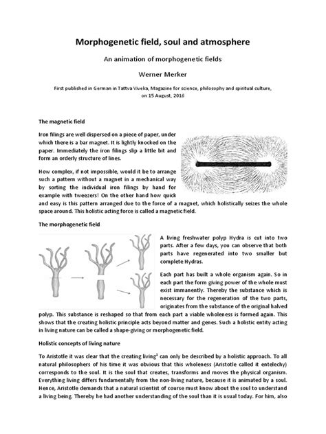 Morphogenetic Field Soul And Atmosphere An Animation Of Morphogenetic Fields Werner Merker
