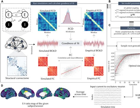 Adolescent Maturation Of Cortical Excitation Inhibition Ratio Based On Amin Saberi
