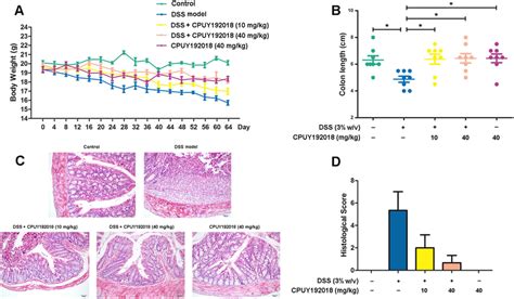 Cpuy192018 Ameliorated The Pathological Symptoms In The Dss Induced Download Scientific Diagram