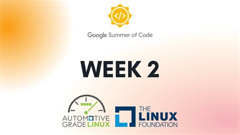 Week 2 Progress Report